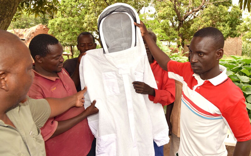 We Are All One Hive™ | Sustainable Beekeeping Practices